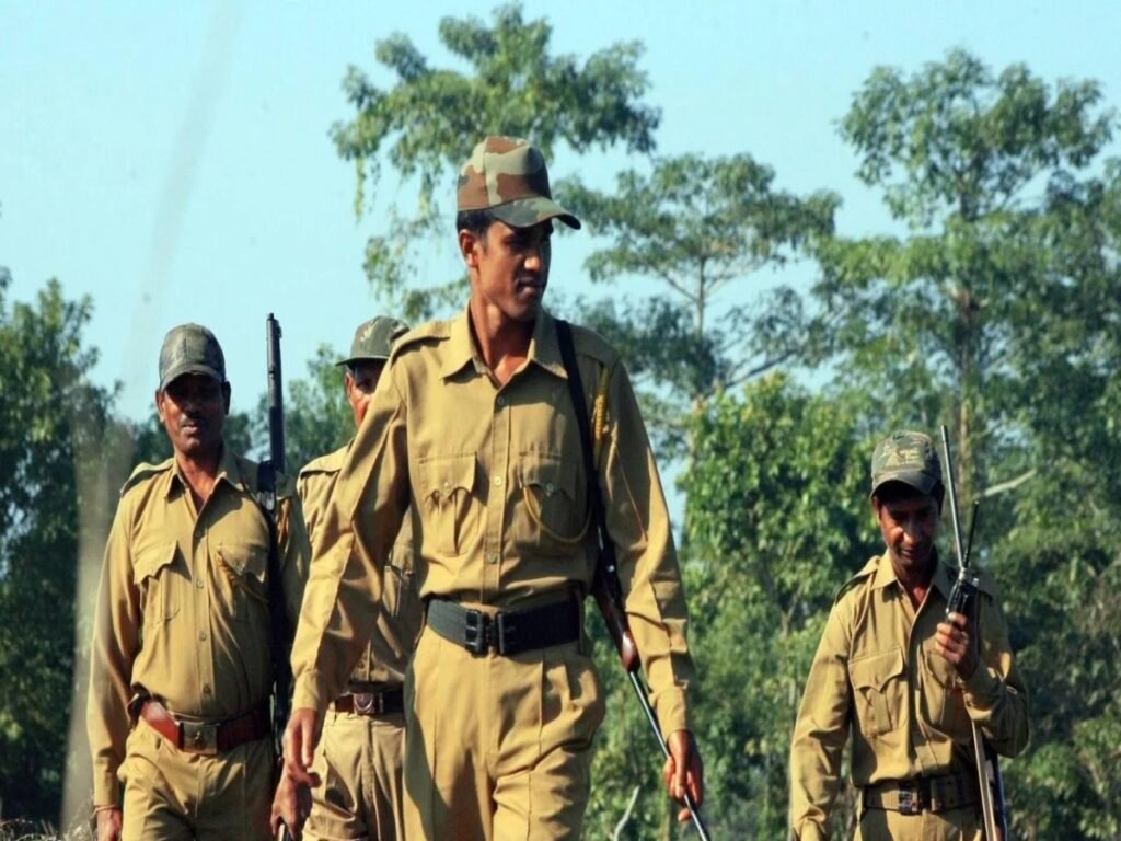 वनविभागात लेखापाल (गट क) पदांवर भरती; जाणून घ्या सविस्तर माहिती – BM Foundation